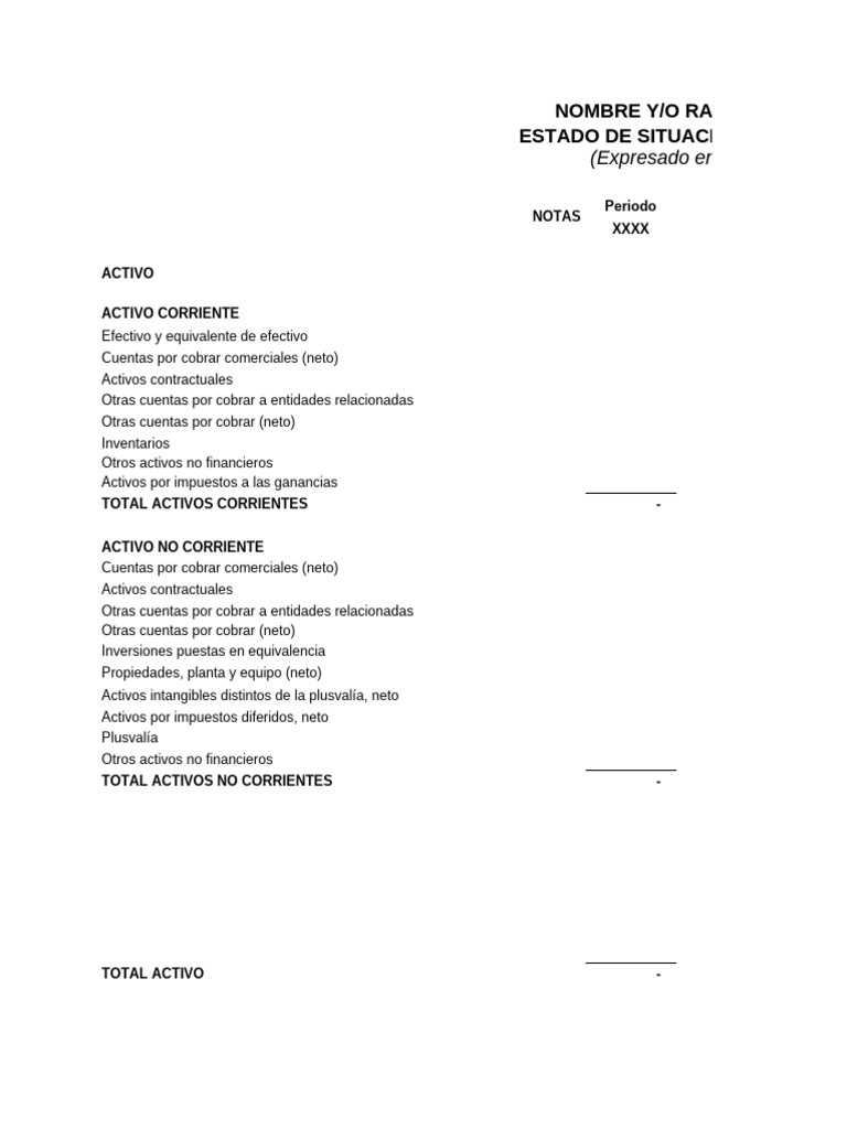Modelo Eeff - Nic 1 | PDF | Valor neto | Sector privado