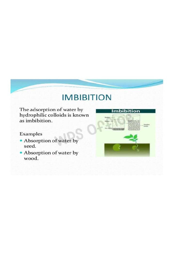 Imbibition, Osmosis, Diffusion | PDF