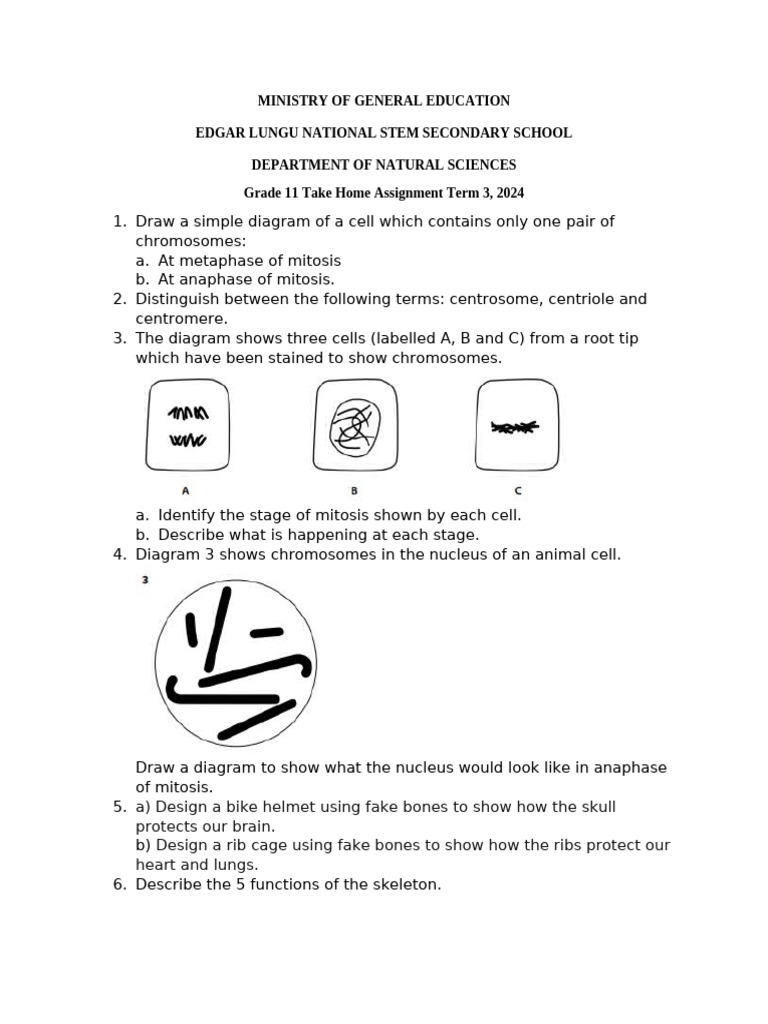 Grade 11 Biology Take Home Assignment | PDF