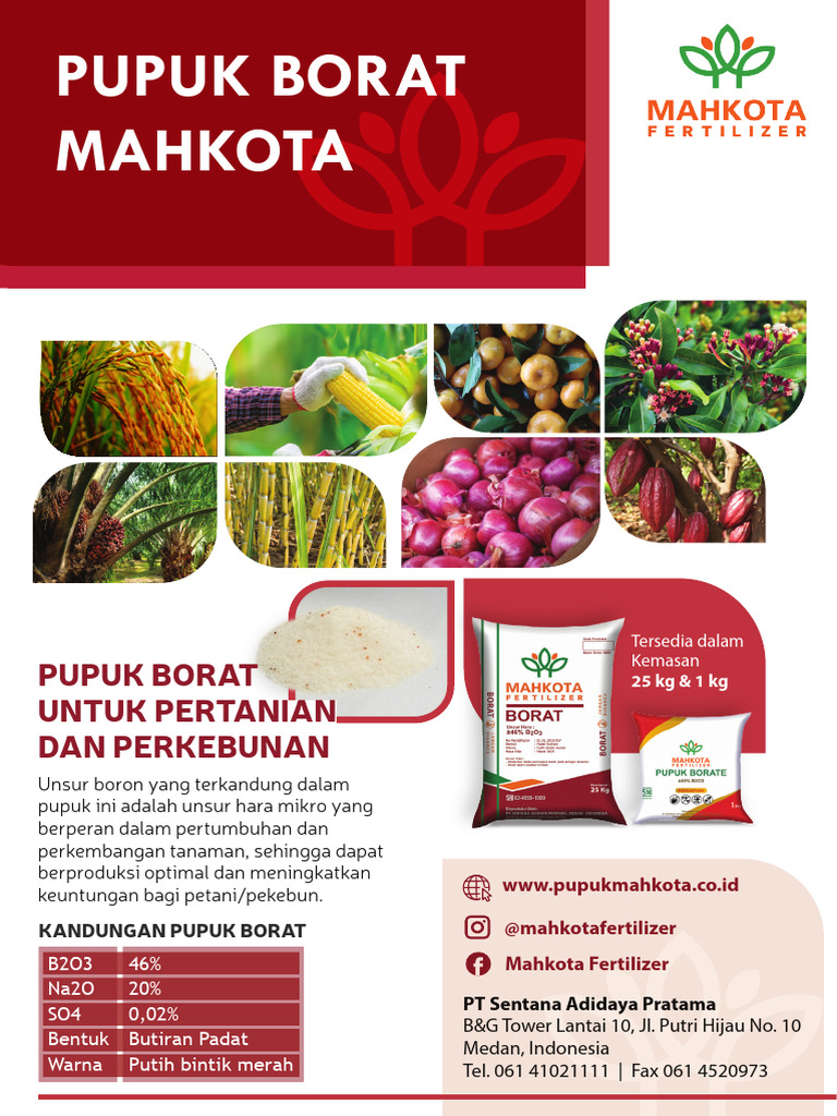Pupuk Mahkota Borat 1744342531329 | PDF