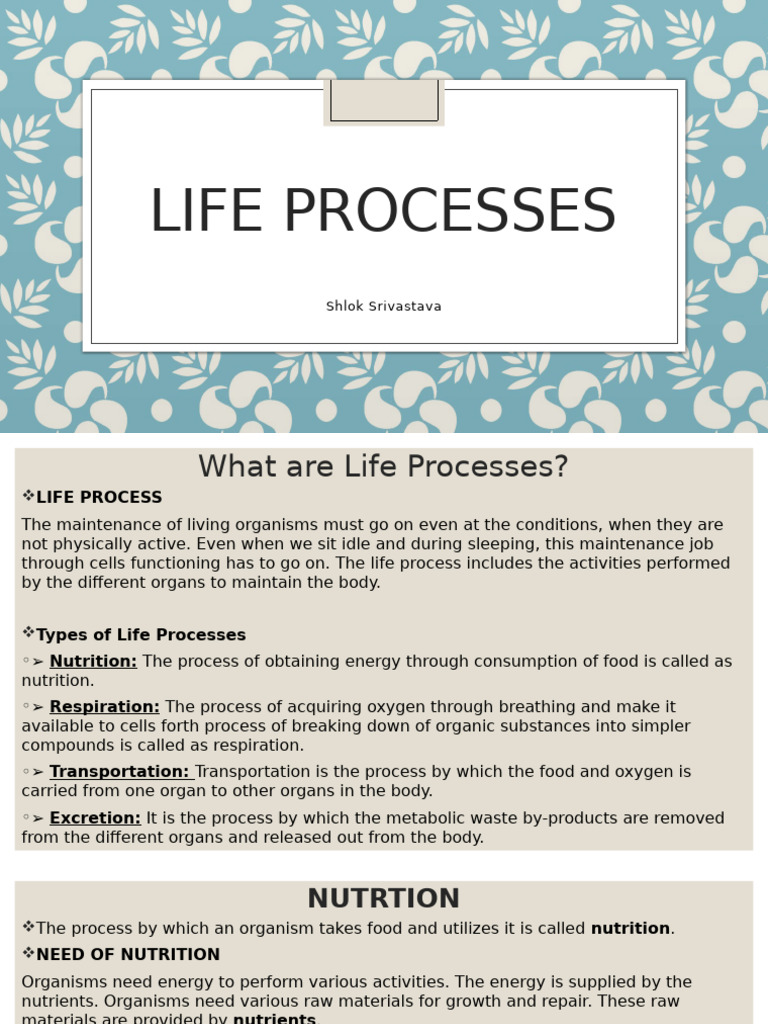 Life Processes in Organisms | PDF | Nutrition | Diet & Nutrition