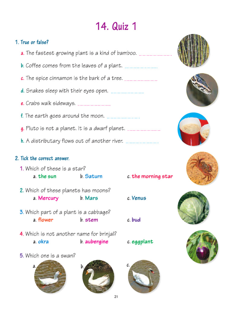 Junior Knowledge 3 Selected Pages | PDF