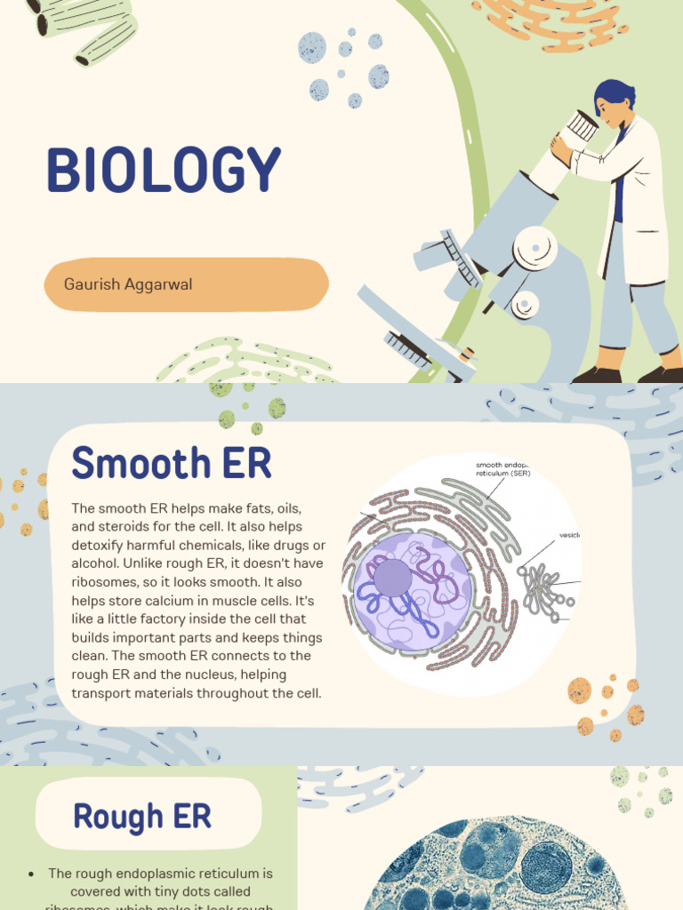 Biology Holiday Homework | PDF | Endoplasmic Reticulum | Cell (Biology)