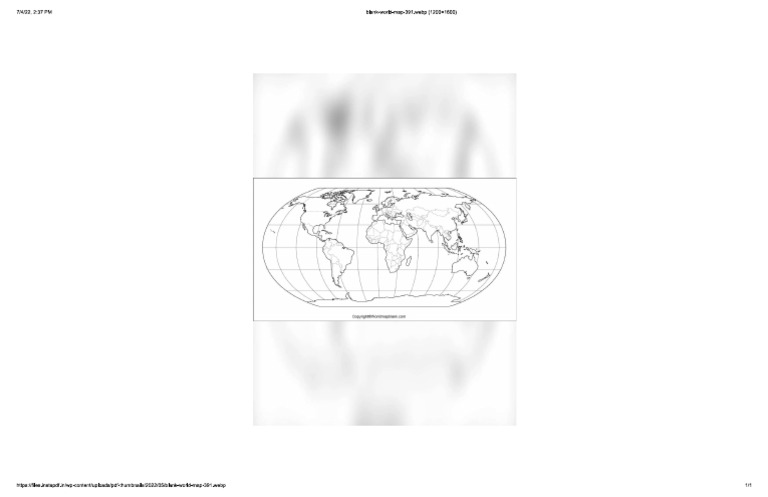 World Blank Map | PDF