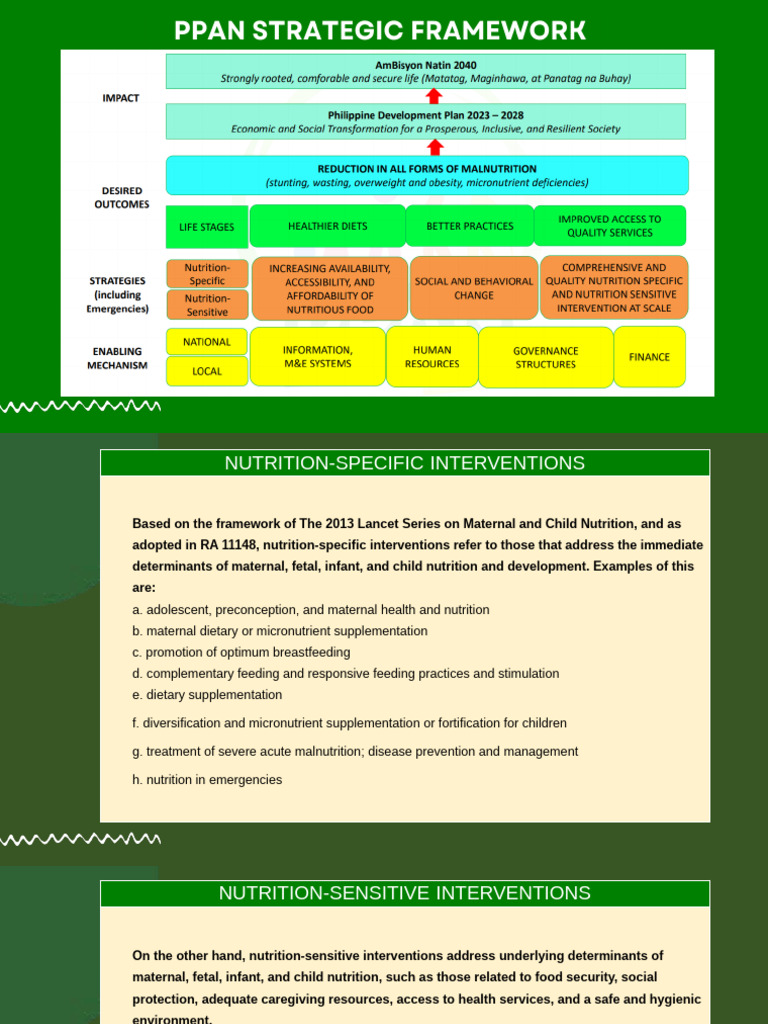 PPAN Strategic Framework | PDF