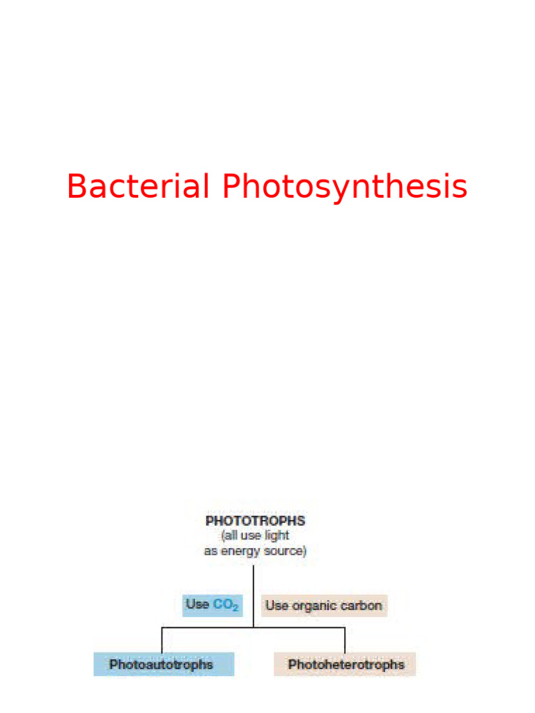 MSC Sem 2 - Bacterial Photosynthesis | PDF | Photosynthesis | Chlorophyll