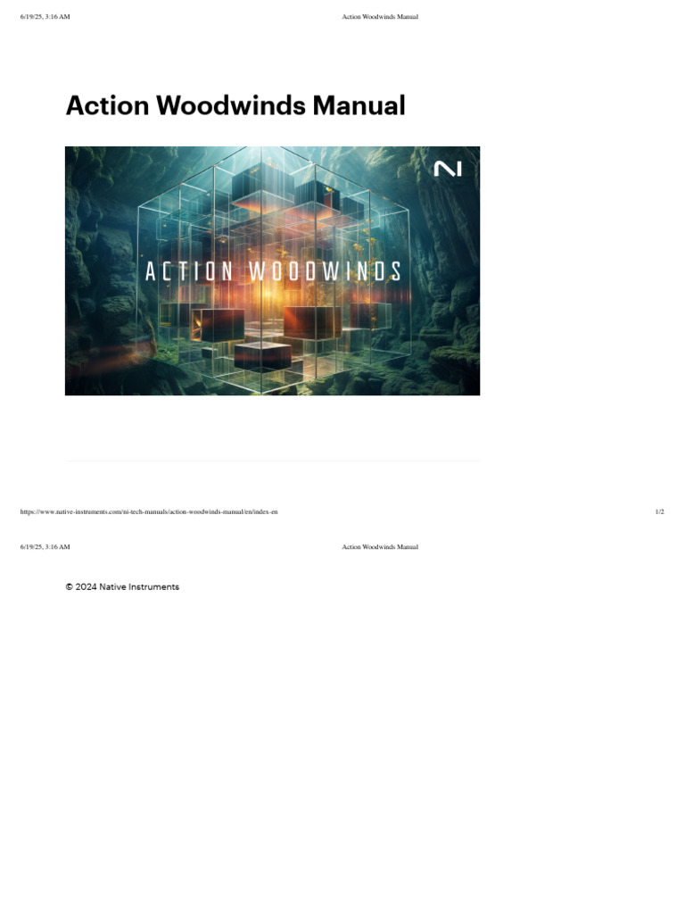 Action Woodwinds Manual | PDF