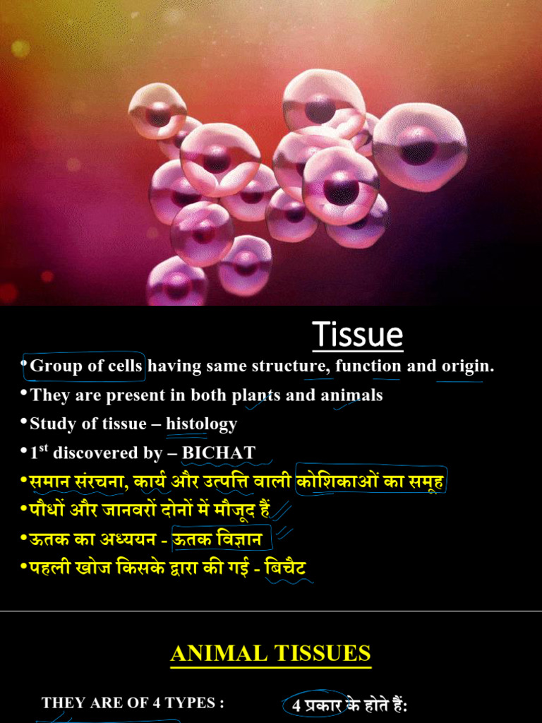 Tissue Bio | PDF