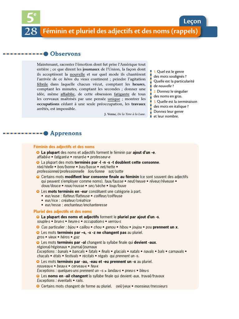 Féminin et Pluriel des Noms et Adjectifs | PDF | Langues | Études des ...