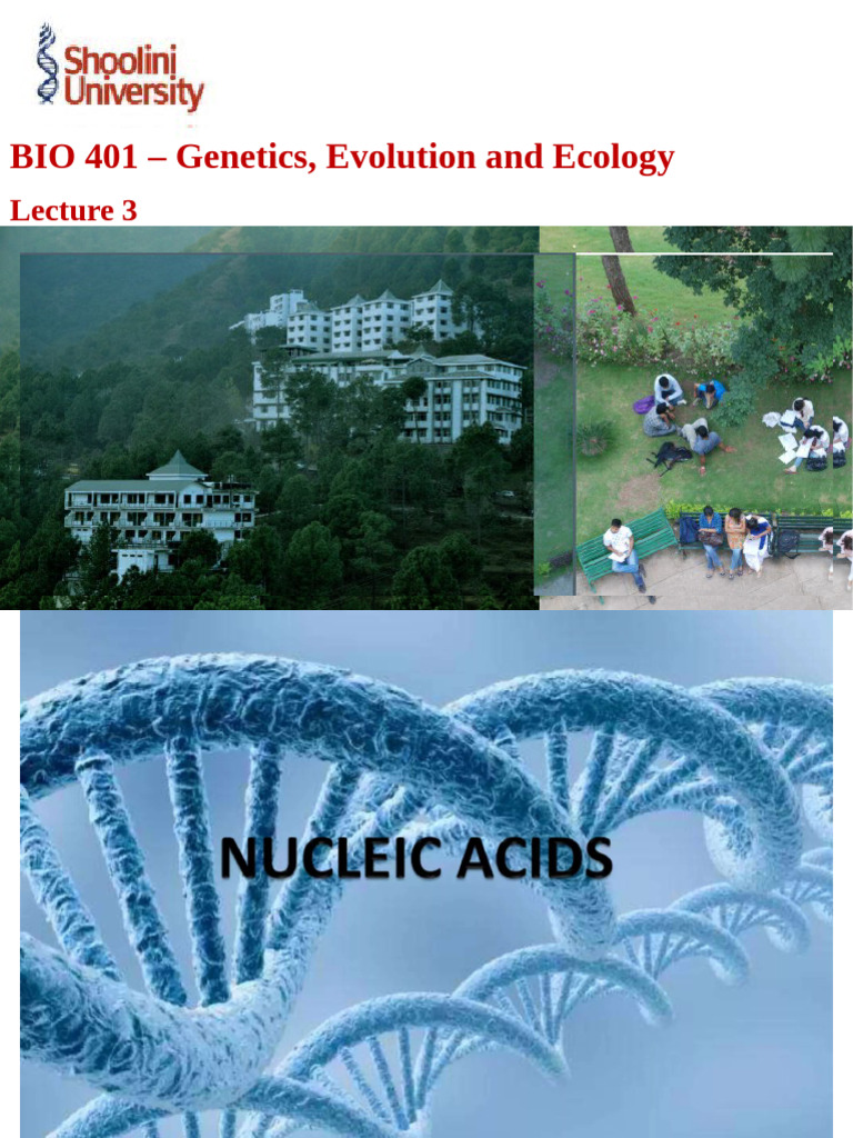 Genetics, Evolution & Ecology Lecture 3 | PDF
