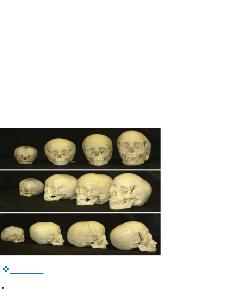 Craniofacial Growth and Development | PDF | Skull | Bone
