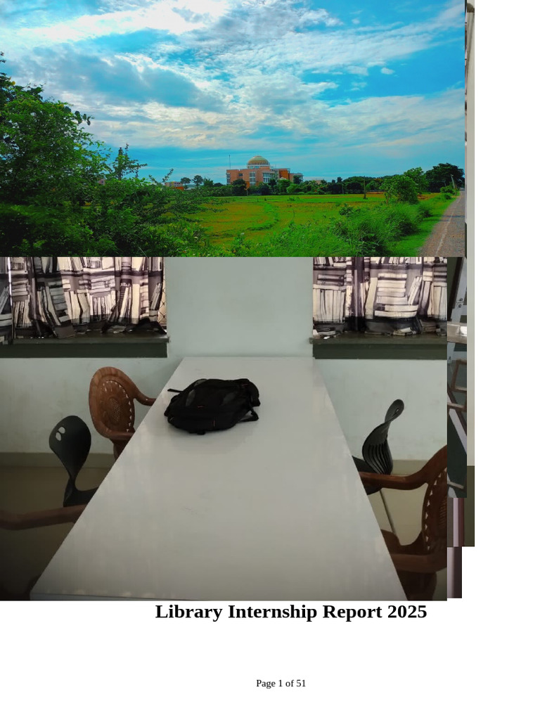 SUM Internship 2024 Report | PDF | Libraries | Books