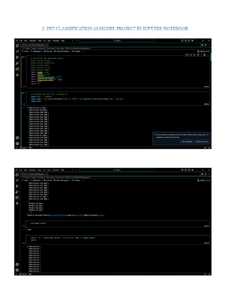 Pet Classification | PDF