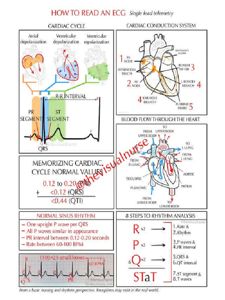 How To Read ECG ? | PDF