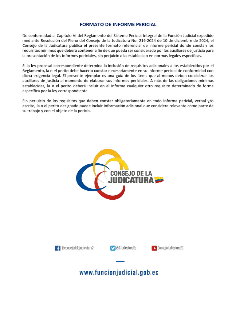 Formato de Informe Pericial 2024 | PDF | Testigo experto | Experto