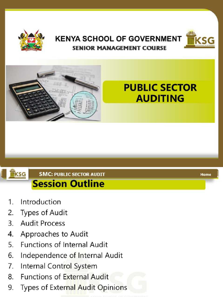 306 - Unit 4 Public Sector Auditing | PDF