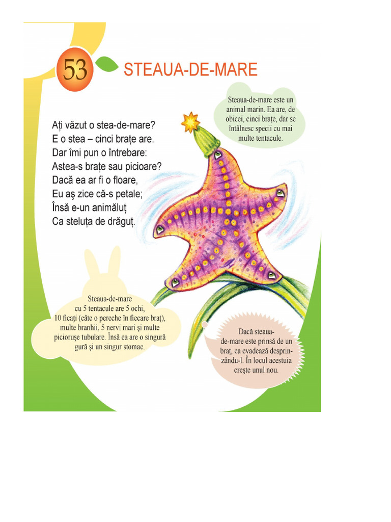 Steaua de Mare | PDF