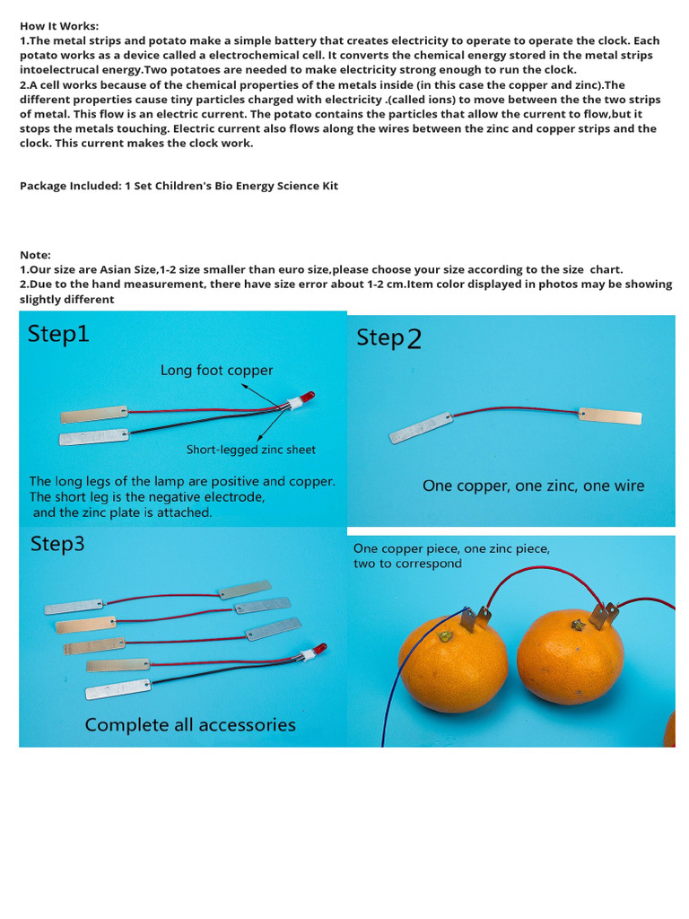 Potato Electricity Experiment - Experiment Educational Kit - Potato ...