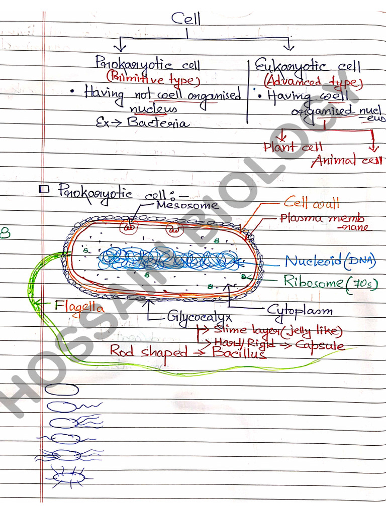 Cbse Cell | PDF