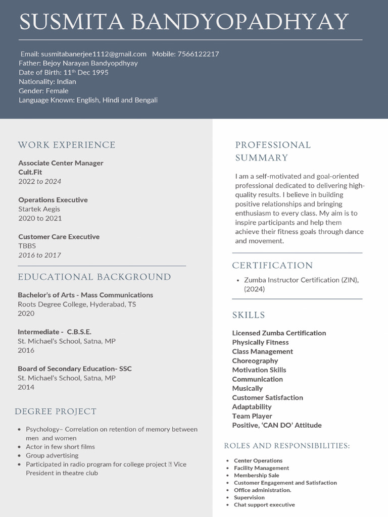 Digital Marketing Resume in Blue and Grey Colour Blocks Style | PDF