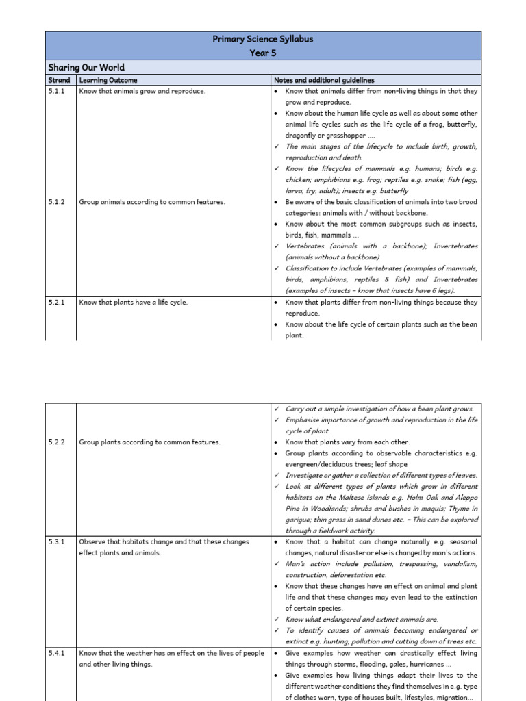 Primary Science Syllabus Year 5 Guidelines | PDF | Magnet | Sound