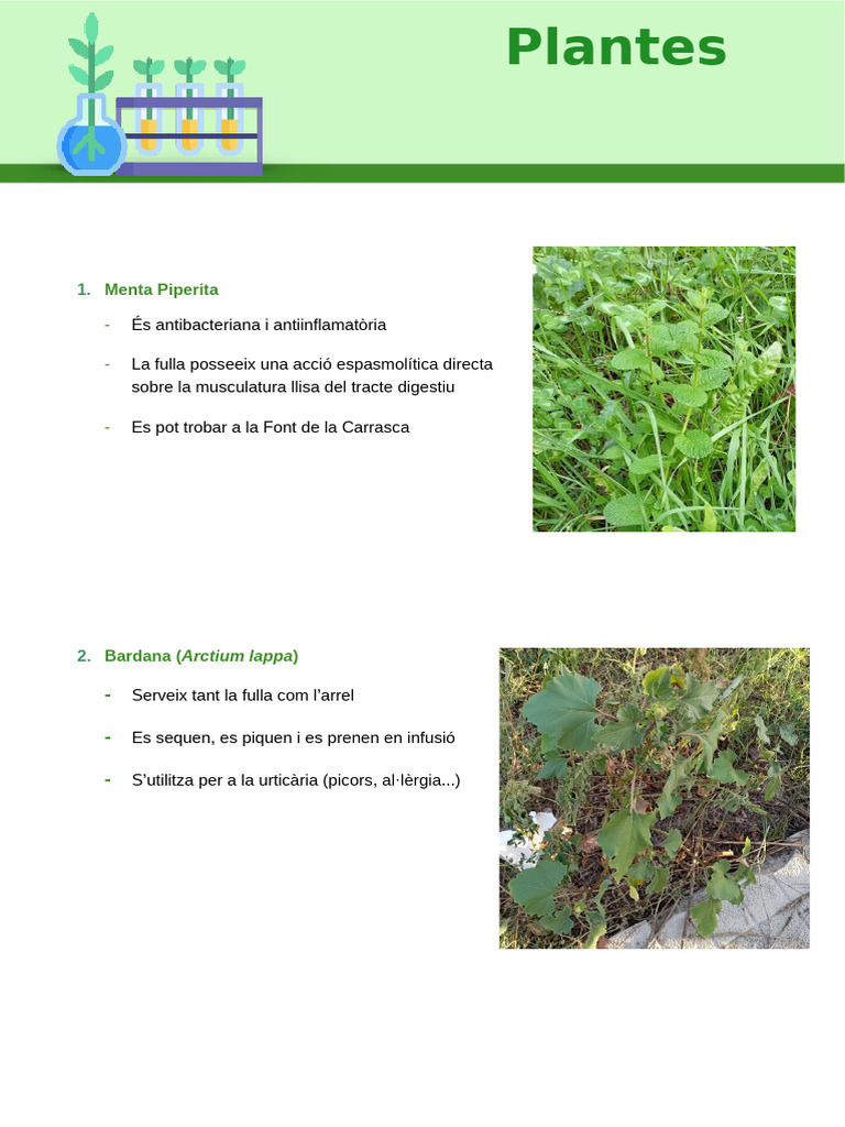 PLANTES | PDF