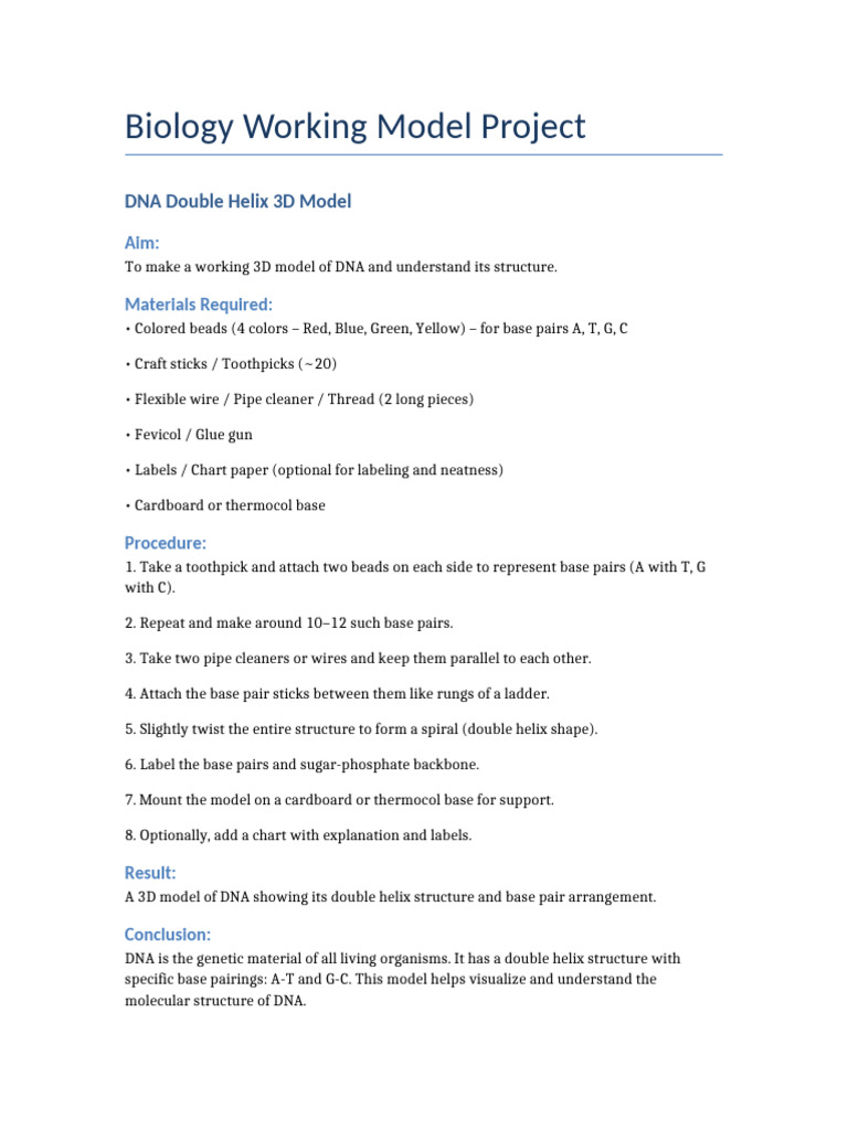 DNA Model Biology Project | PDF