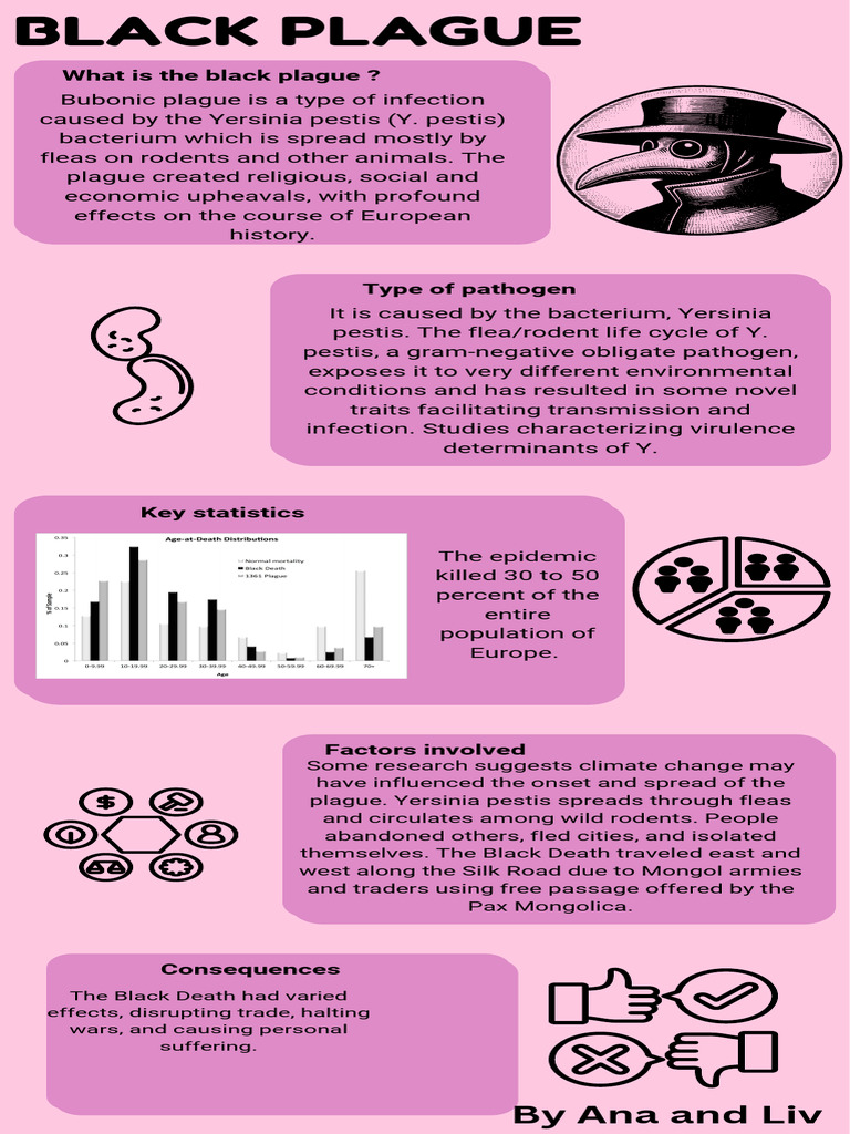 Understanding the Black Plague | PDF