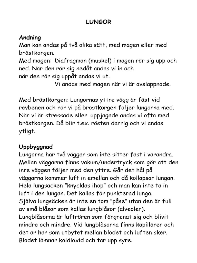 9 Lungor | PDF