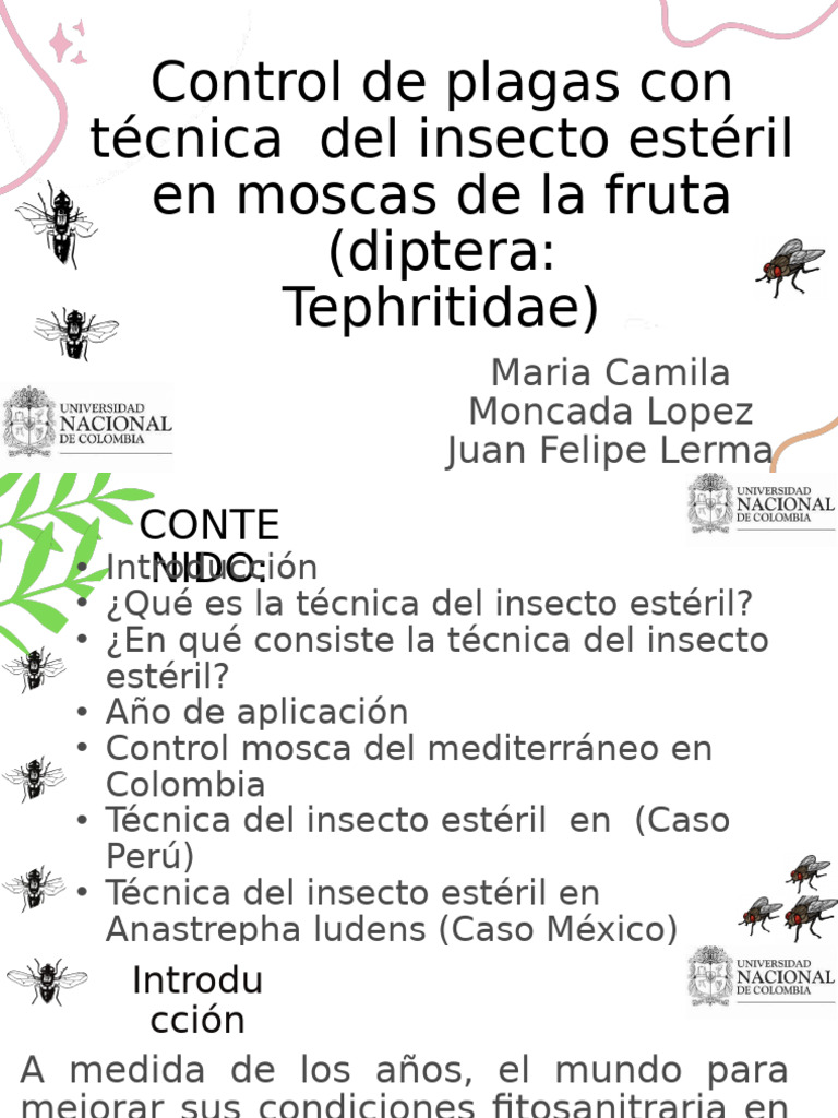 Presentacion Tecnica de Insecto Esteril | PDF | Zoología | Insectos y humanos