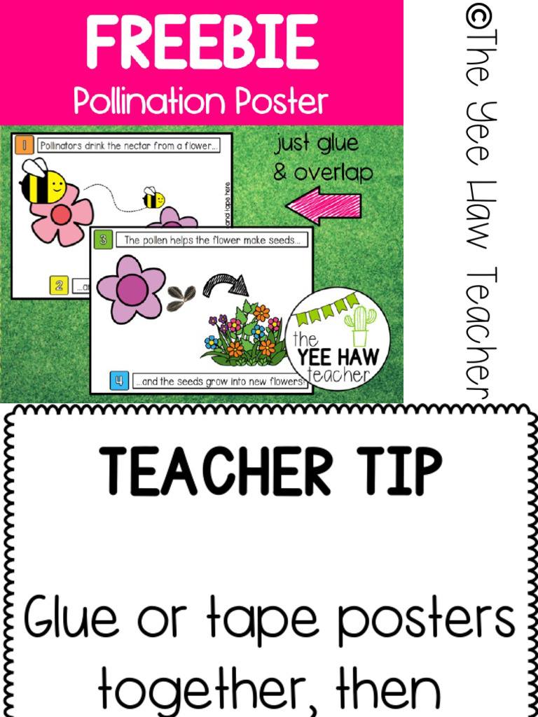 Pollinator Education Resources for Teachers | PDF