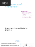 ICROP3: New ROP Classification Guidelines | PDF | Retina | Diseases And ...