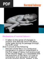 Mechanism of Labour | PDF | Pelvis | Anatomical Terms Of Motion