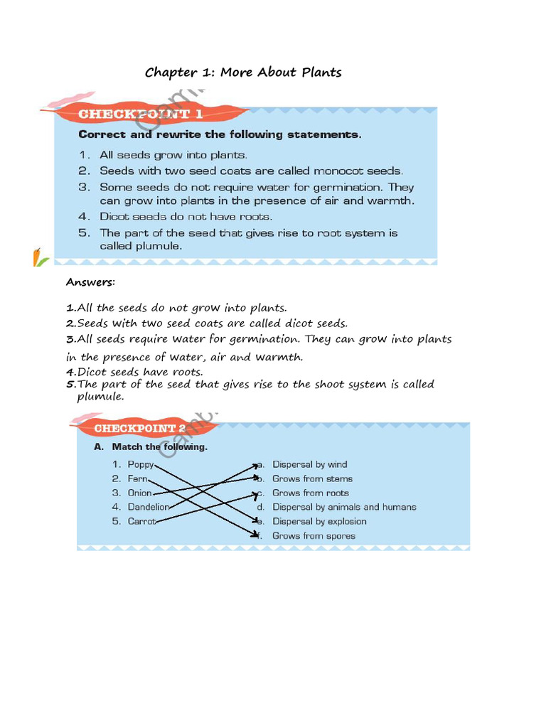 Agricultural Science Notes for Grade 5 | PDF | Seed | Germination