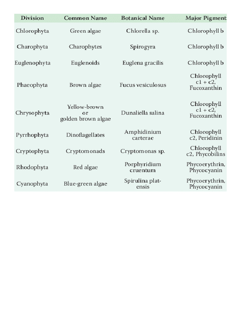 Pigment Composition in Algae | PDF