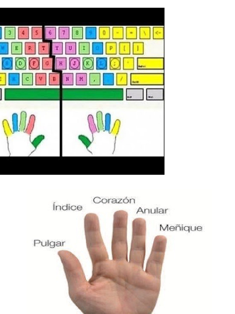 Colocación de Los Dedos | PDF