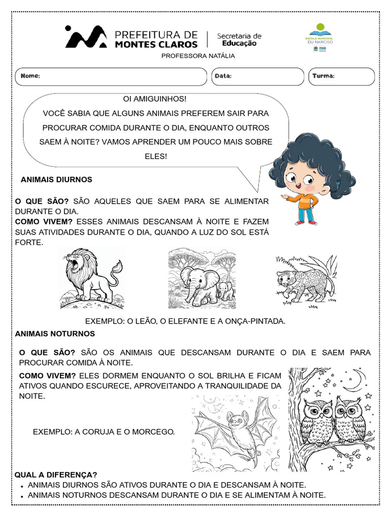 Animais Diurnos e Noturnos para 1º Ano | PDF