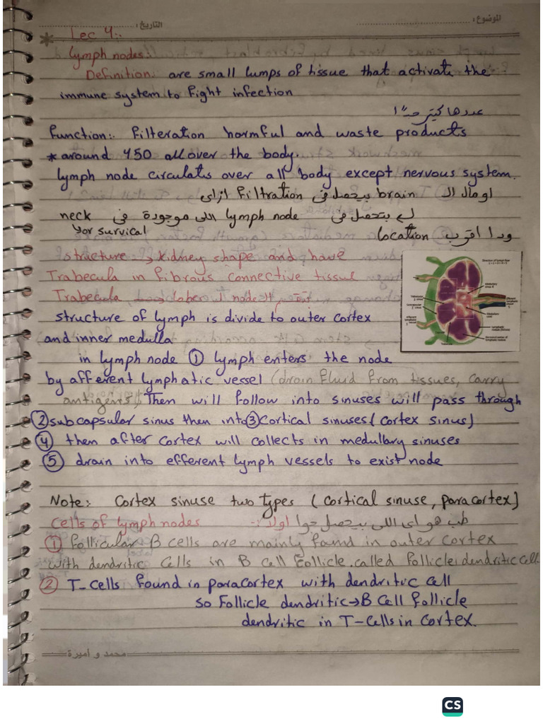 Immunology Lec4 | PDF