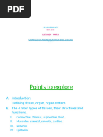 Class 9th Animal Tissue Notes | PDF | Epithelium | Muscle