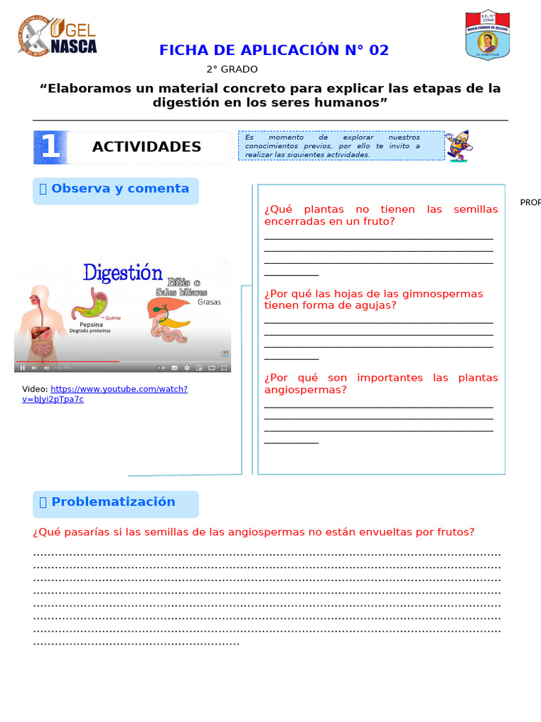 Etapas de la Digestión Humana | PDF | Digestión | Tracto gastrointestinal