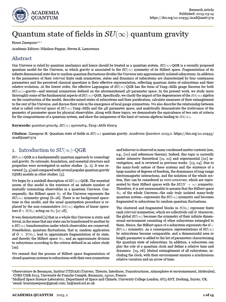 SU(∞) Quantum Gravity Model Explained | PDF | Gauge Theory | Quantum ...