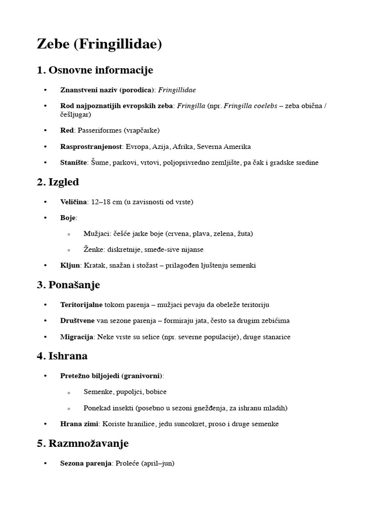 Zebe | PDF