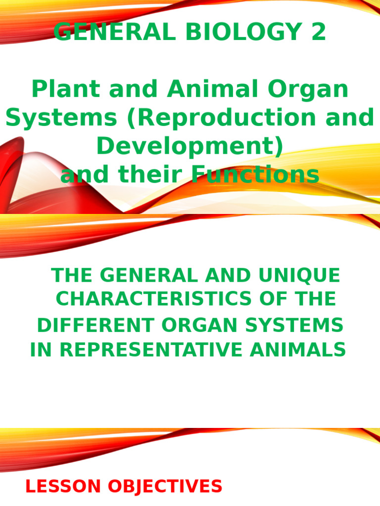 Biology - PPT - Plants&animals Rep System | PDF | Reproductive System ...