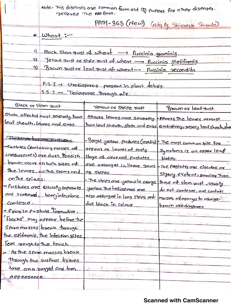 PATH 365 Handwritten Notes - Compressed | PDF