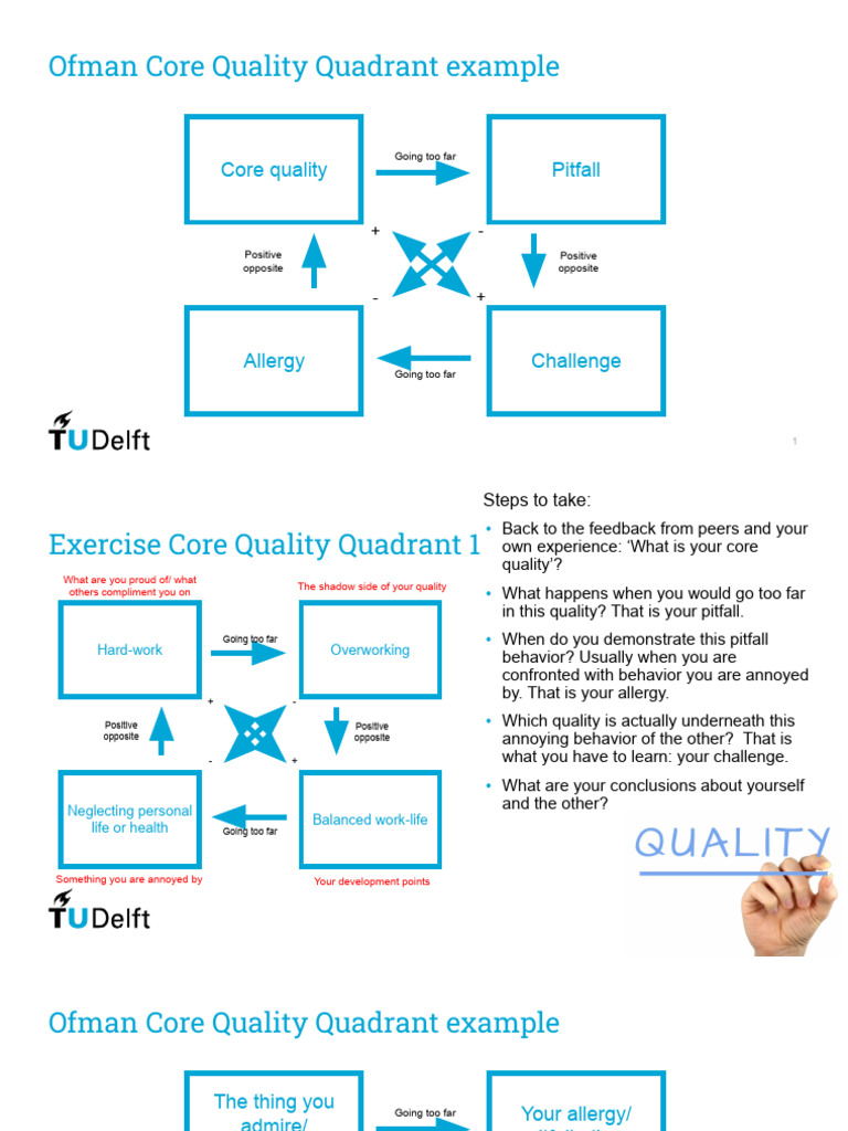 Ofman Core Quality Quadrant JP | PDF | Behavioural Sciences | Psychology