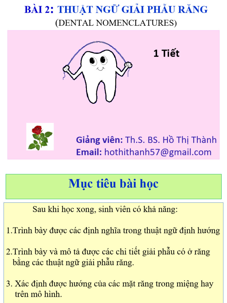 GFR Bai 2 Thuat Ngu Gui | PDF