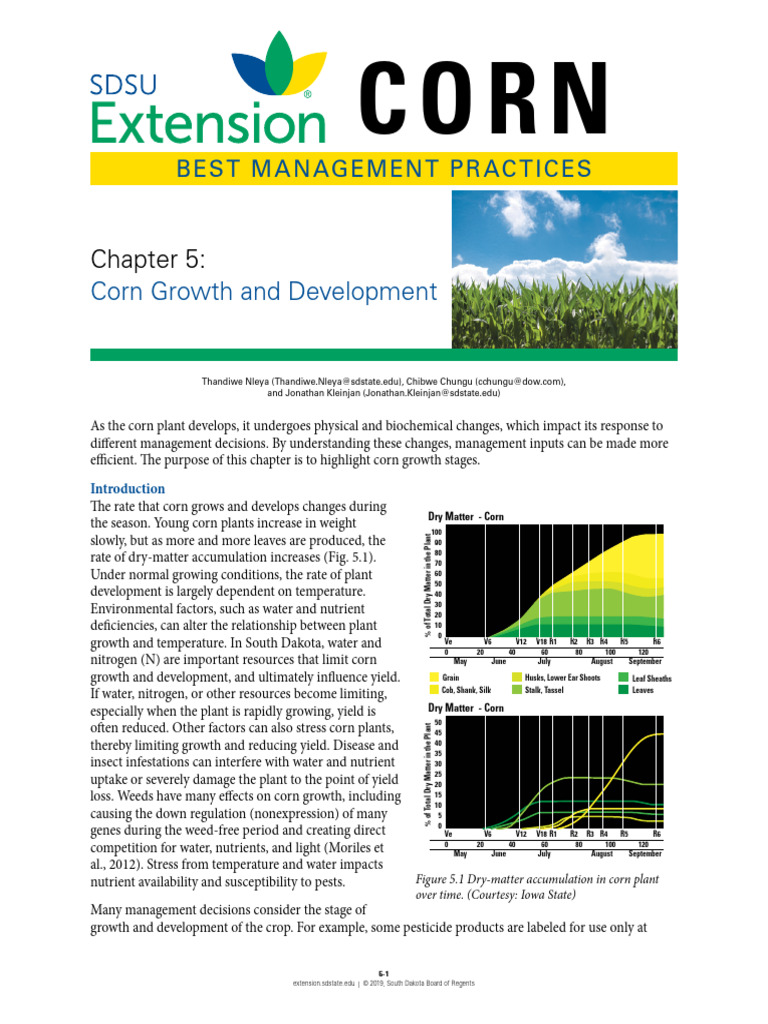 Corn Growth Stages and Management Tips | PDF