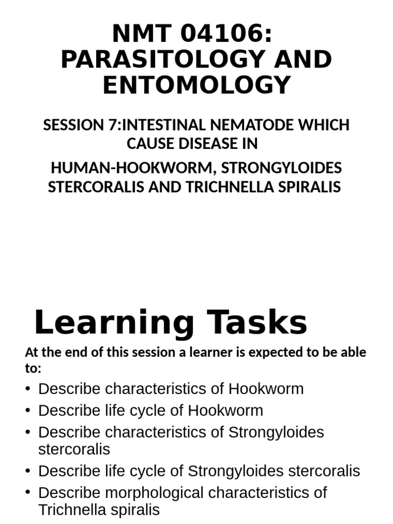 Intestinal Nematodes: Hookworm & Trichinella | PDF | Parasitology | Zoology