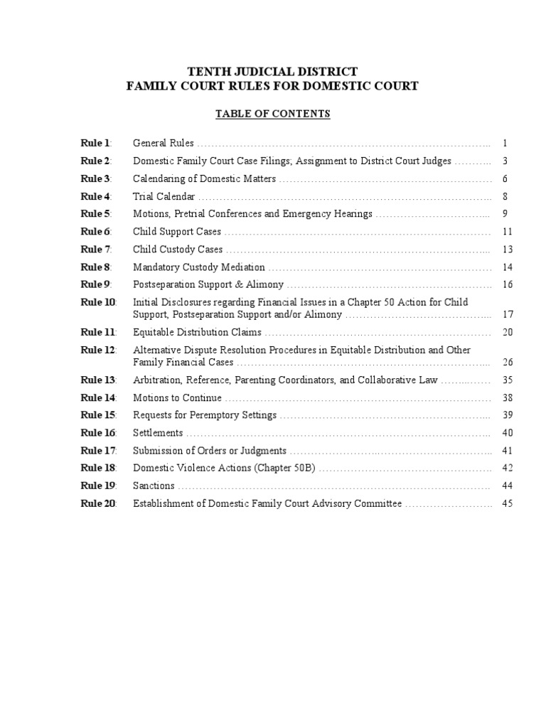 Family Court Rules Guide | PDF | Pro Se Legal Representation In The ...