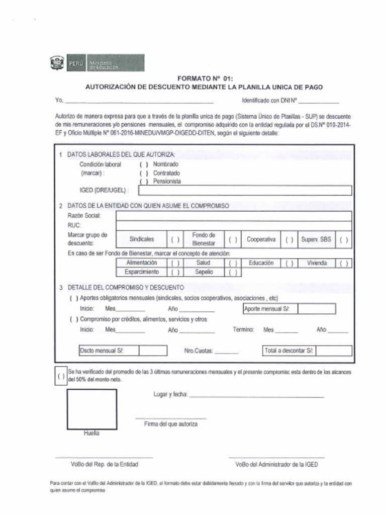 Formato #01 Minedu | PDF